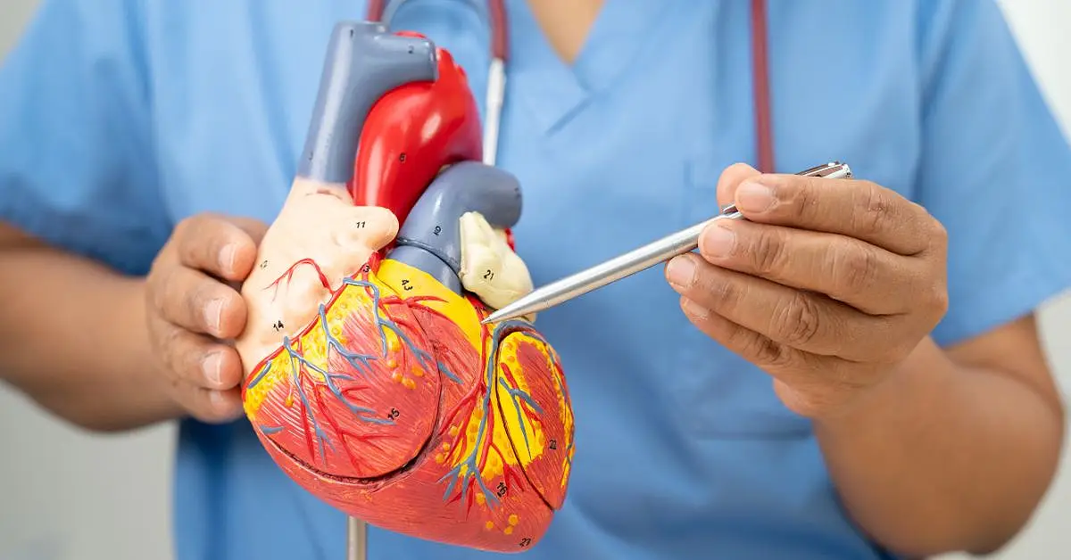 Penyakit Jantung Koroner - 365Sehat